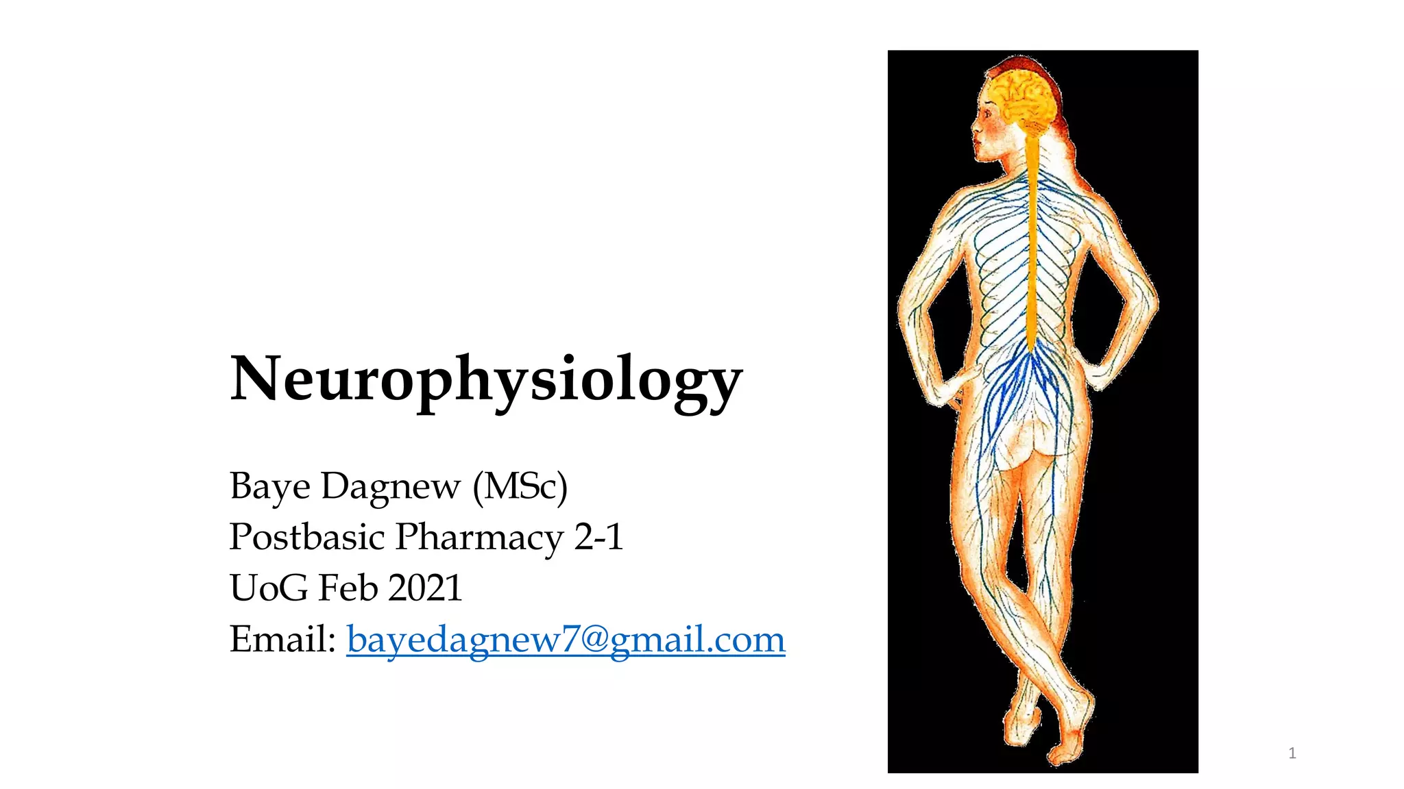 Neurophysiology for pharmacy_2-1 | PDF