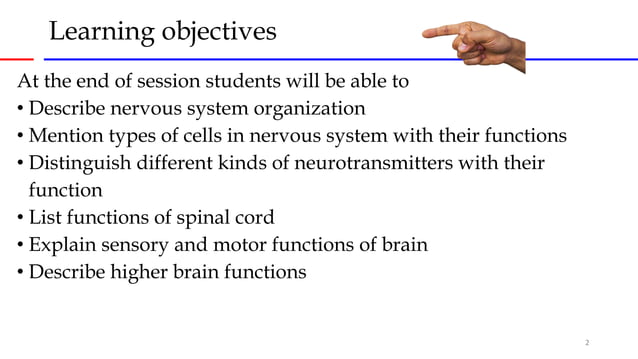 Neurophysiology for pharmacy_2-1 | PDF | Brain and Nervous System ...