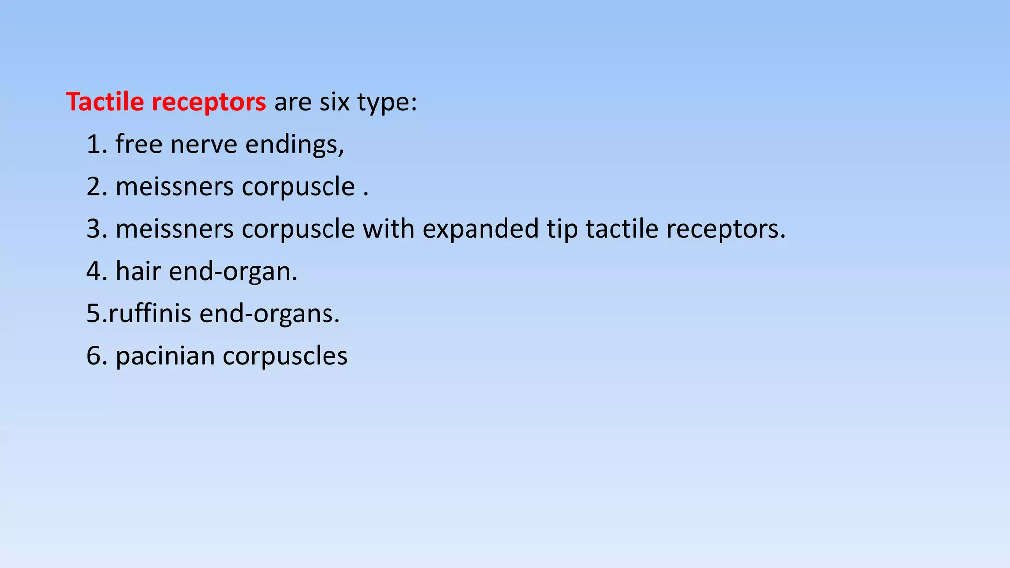 Neurophysiology lecture | PPTX