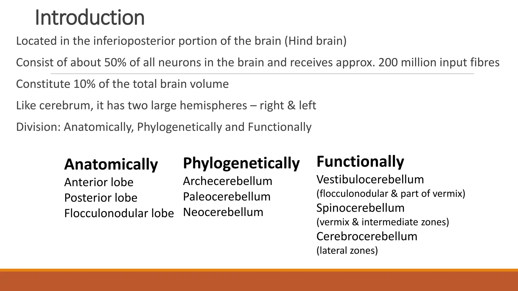 NEURO PHYSIOLOGY LECTURES.pptx