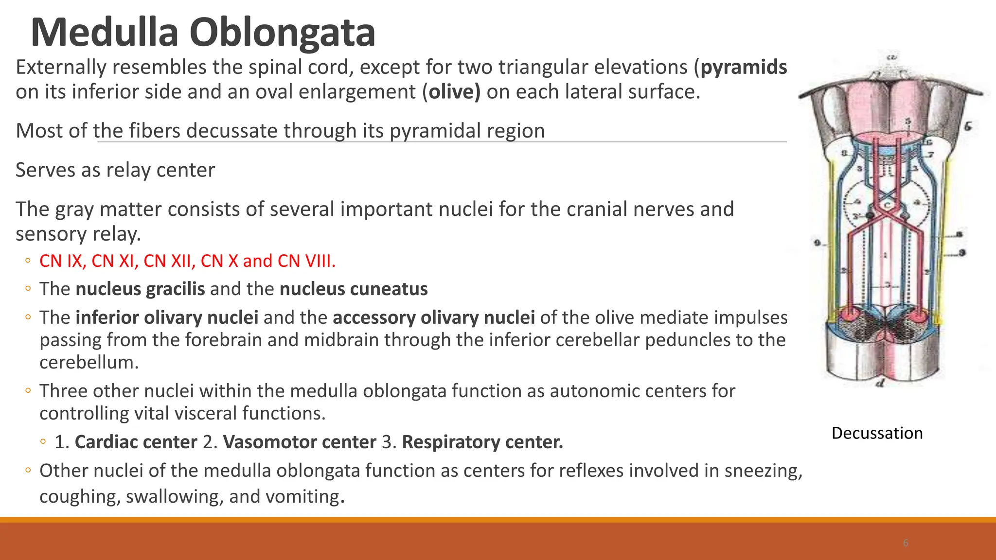 NEURO PHYSIOLOGY LECTURES.pptx