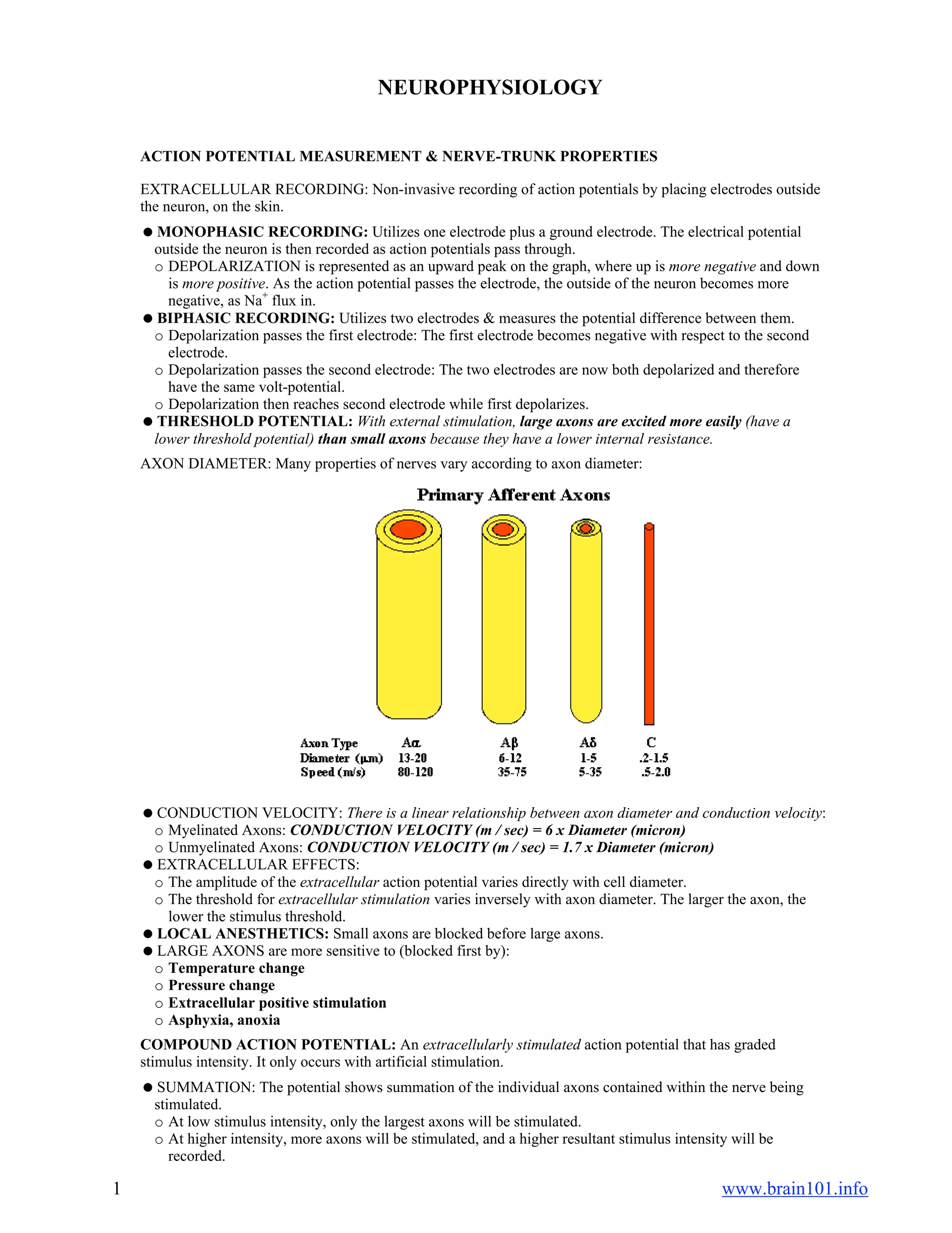 Neuro physiology notes | PDF | Brain and Nervous System Disorders ...