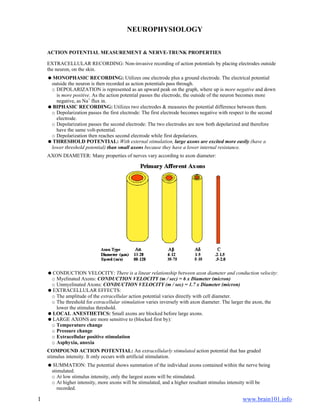 Neuro physiology notes | PDF | Brain and Nervous System Disorders ...