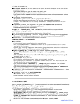 Neuro physiology notes | PDF | Brain and Nervous System Disorders ...
