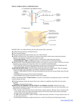Neuro physiology notes | PDF | Brain and Nervous System Disorders ...