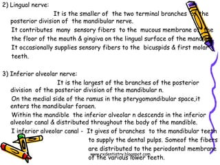 Neurophysiology of LA and oral surgery.ppt