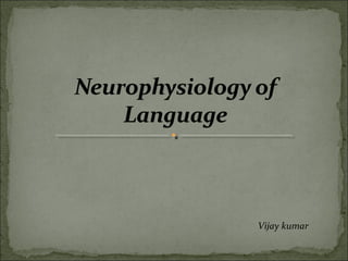 Neurophysiology of language | PPT
