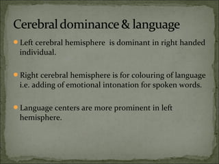 Neurophysiology of language | PPT