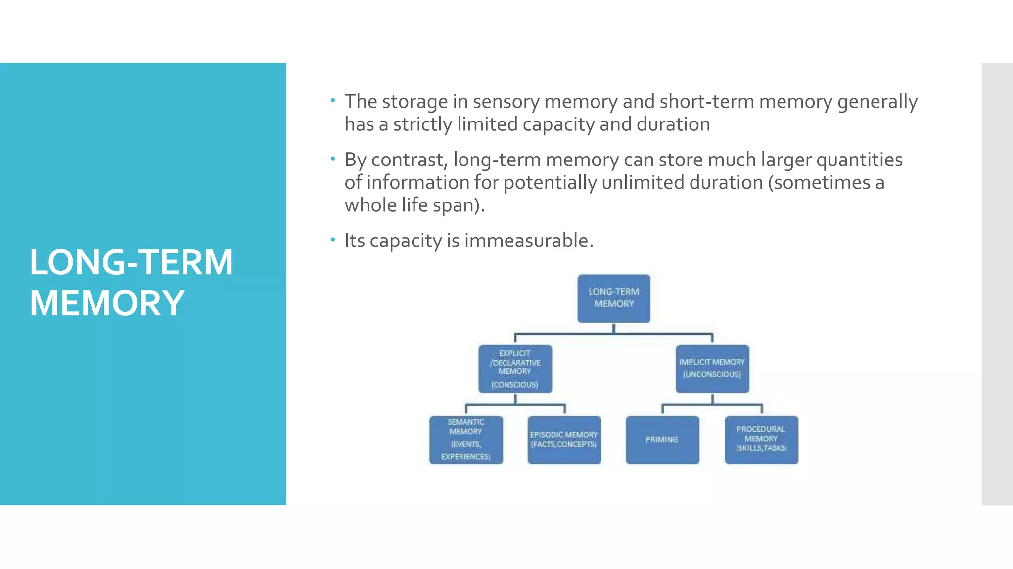 Neurophysiology of memory.pptx