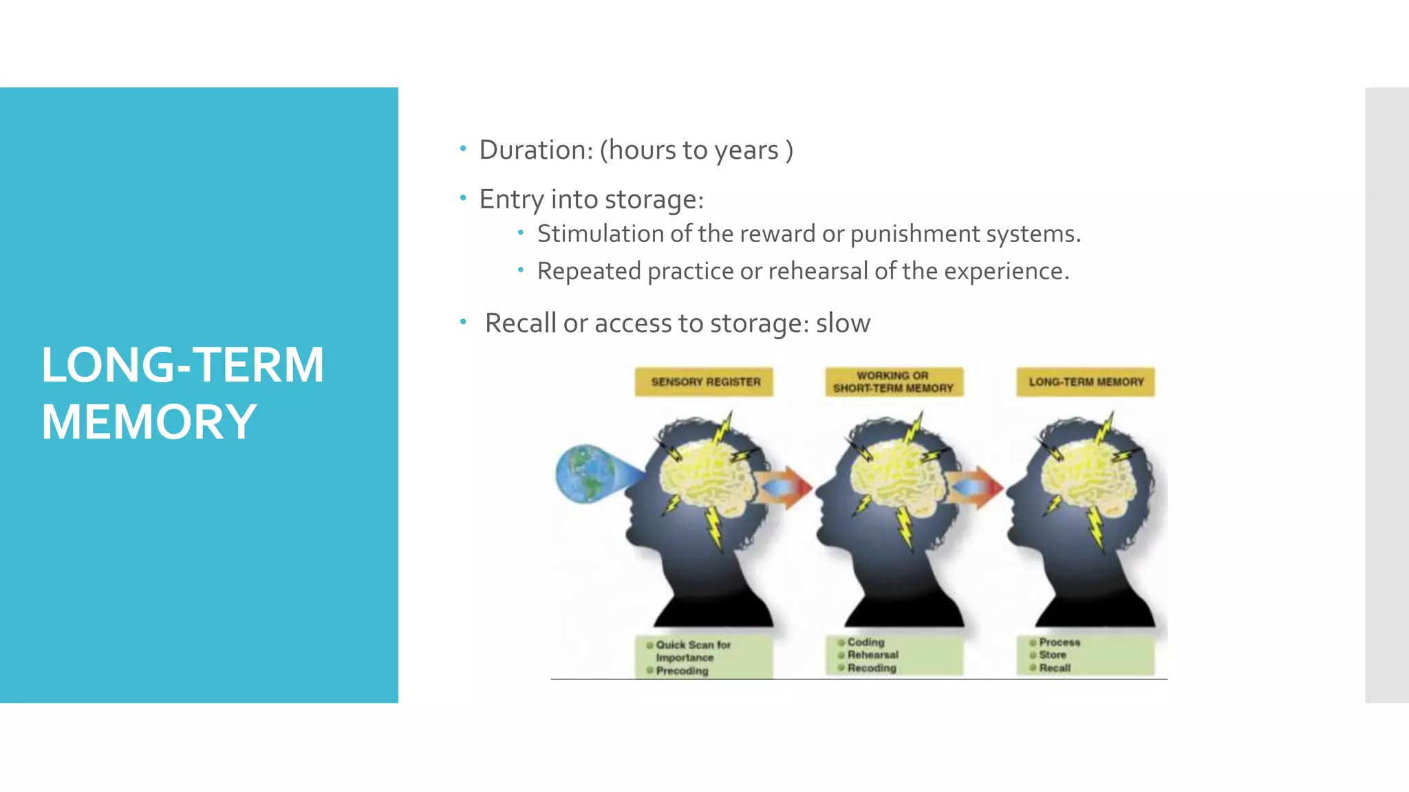 Neurophysiology of memory.pptx