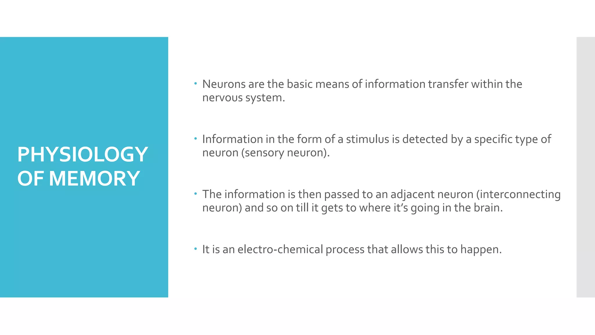 Neurophysiology of memory.pptx