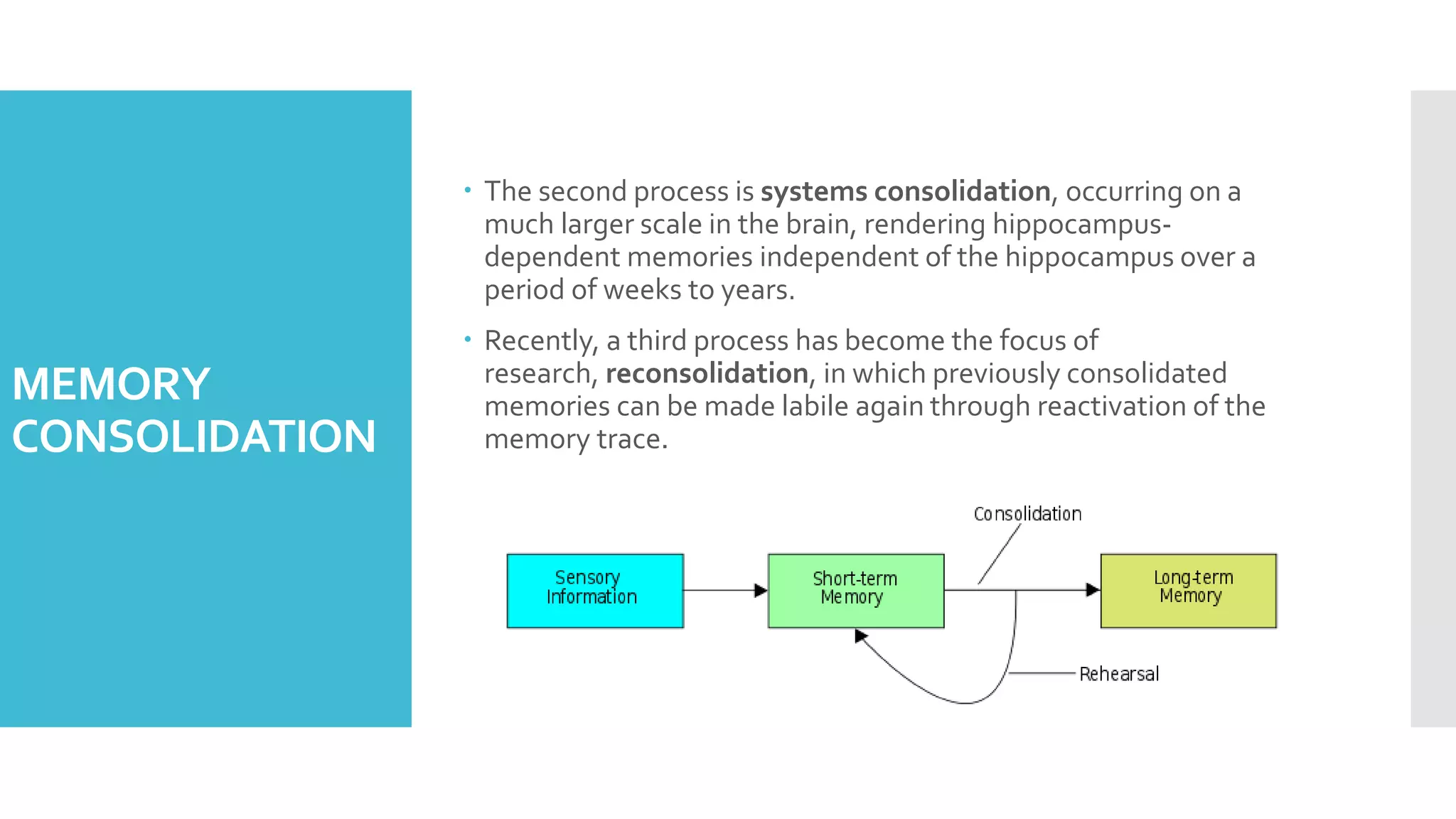 Neurophysiology of memory.pptx