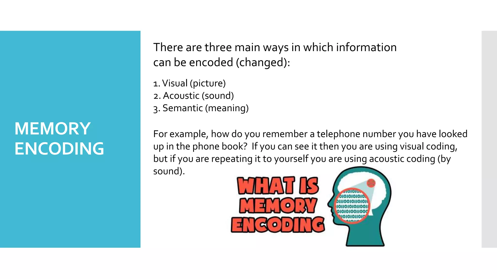 Neurophysiology of memory.pptx