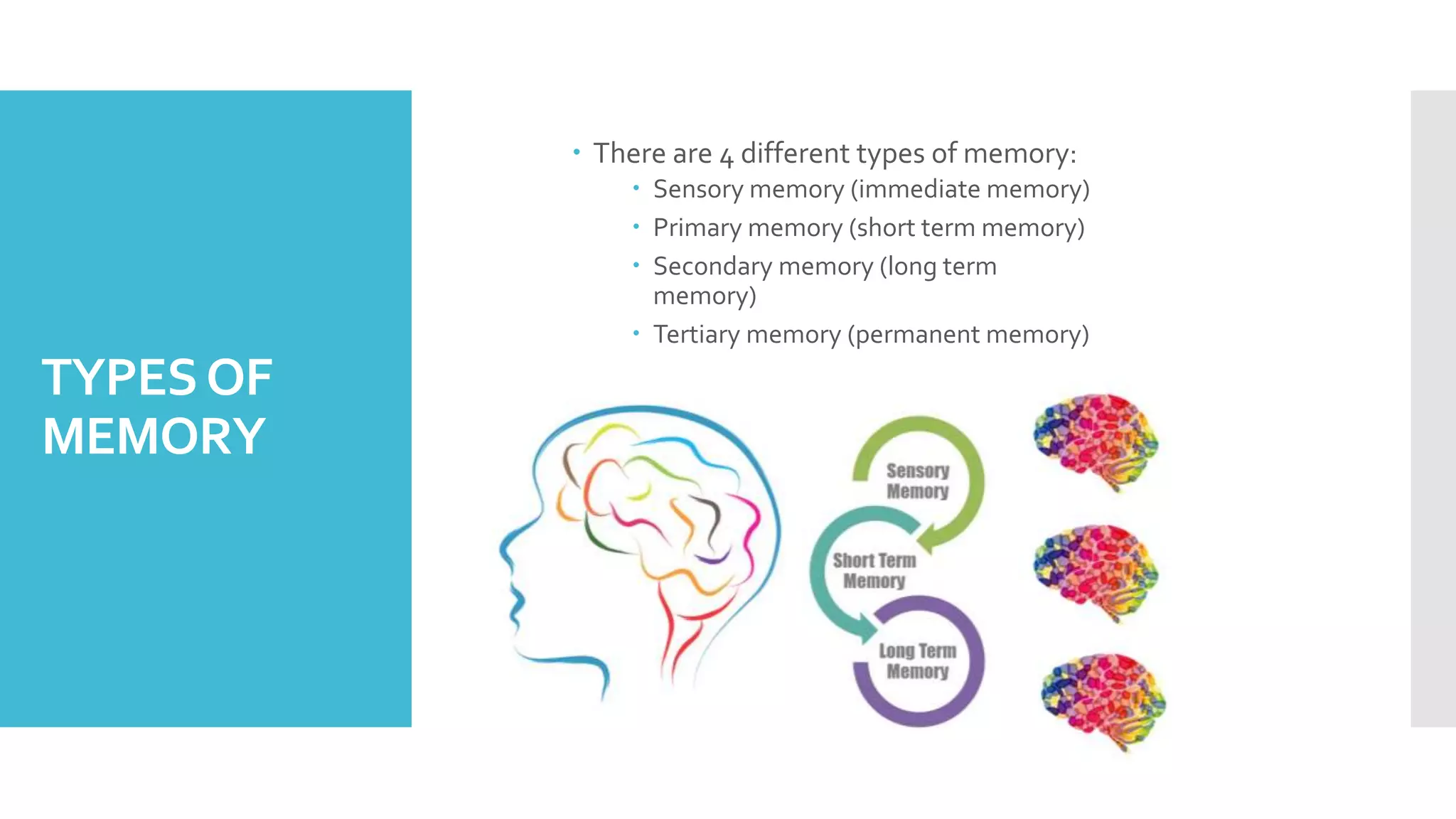 Neurophysiology of memory.pptx