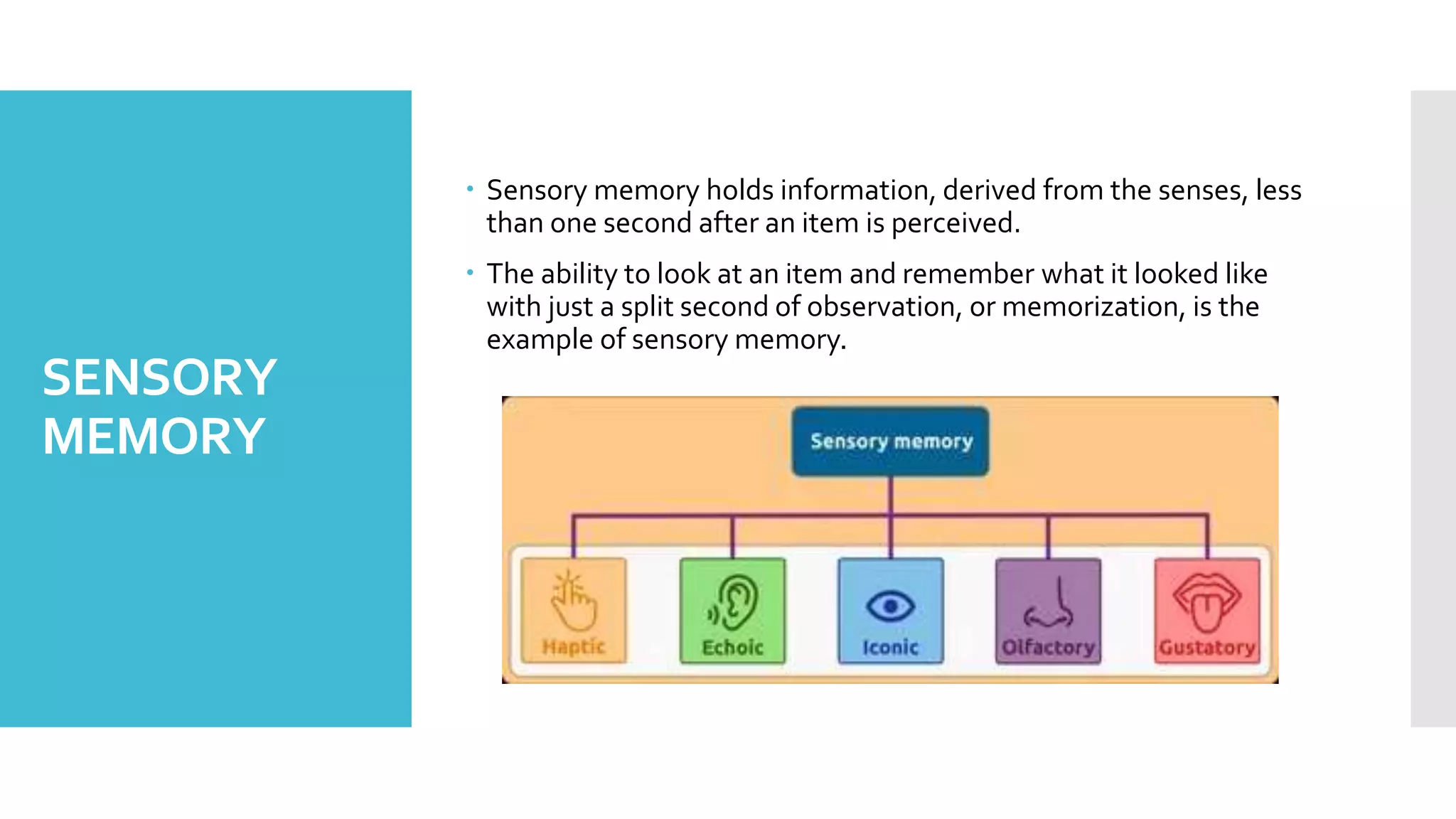 Neurophysiology of memory.pptx