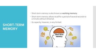 Neurophysiology of memory.pptx
