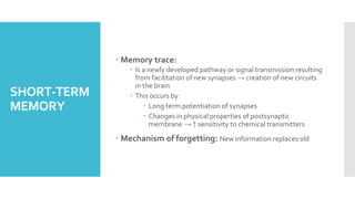 Neurophysiology of memory.pptx