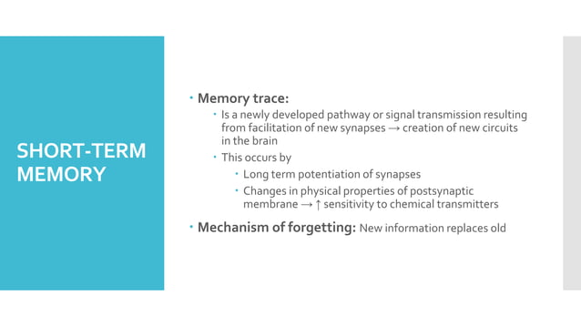 Neurophysiology of memory.pptx | Brain and Nervous System Disorders ...