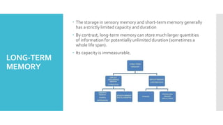 Neurophysiology of memory.pptx