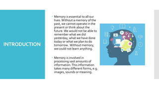 Neurophysiology of memory.pptx