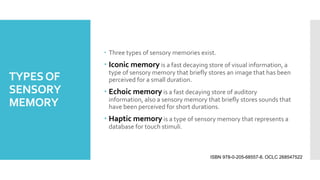 Neurophysiology of memory.pptx