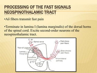Neurophysiology of pain | PPTX