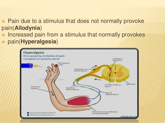 Neurophysiology of pain