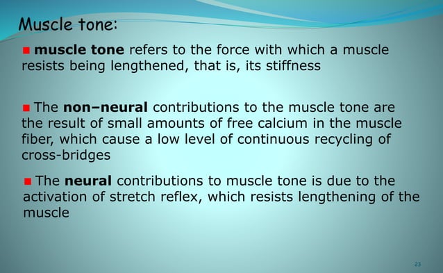 neurophysiology of posture-bishal_2014.pptx