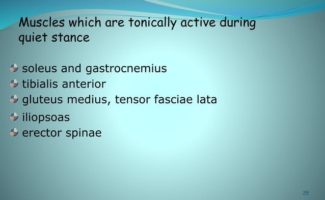 neurophysiology of posture-bishal_2014.pptx