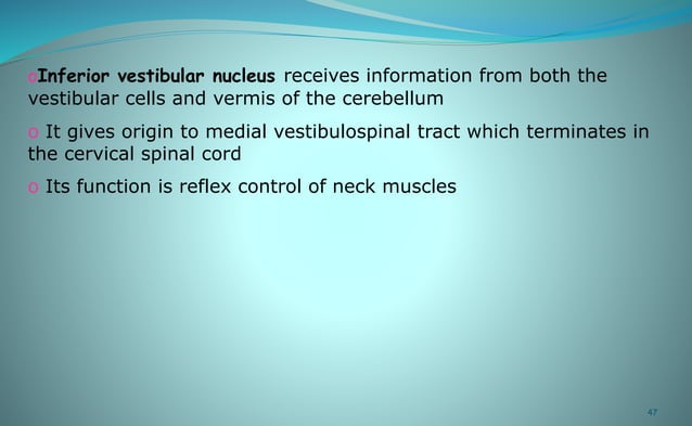 neurophysiology of posture-bishal_2014.pptx