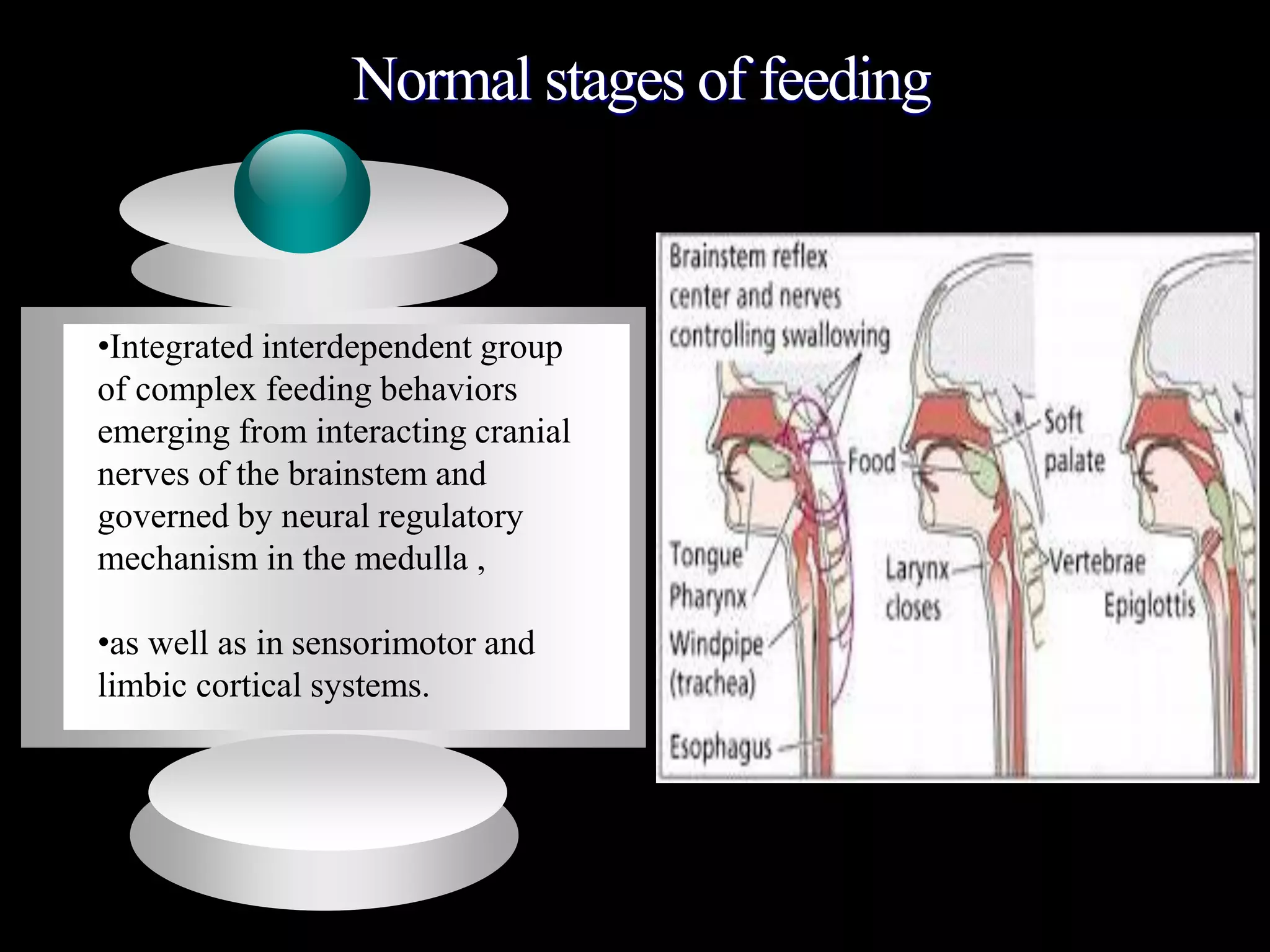 Anatomy and Neurophysiology of Swallowing | PDF