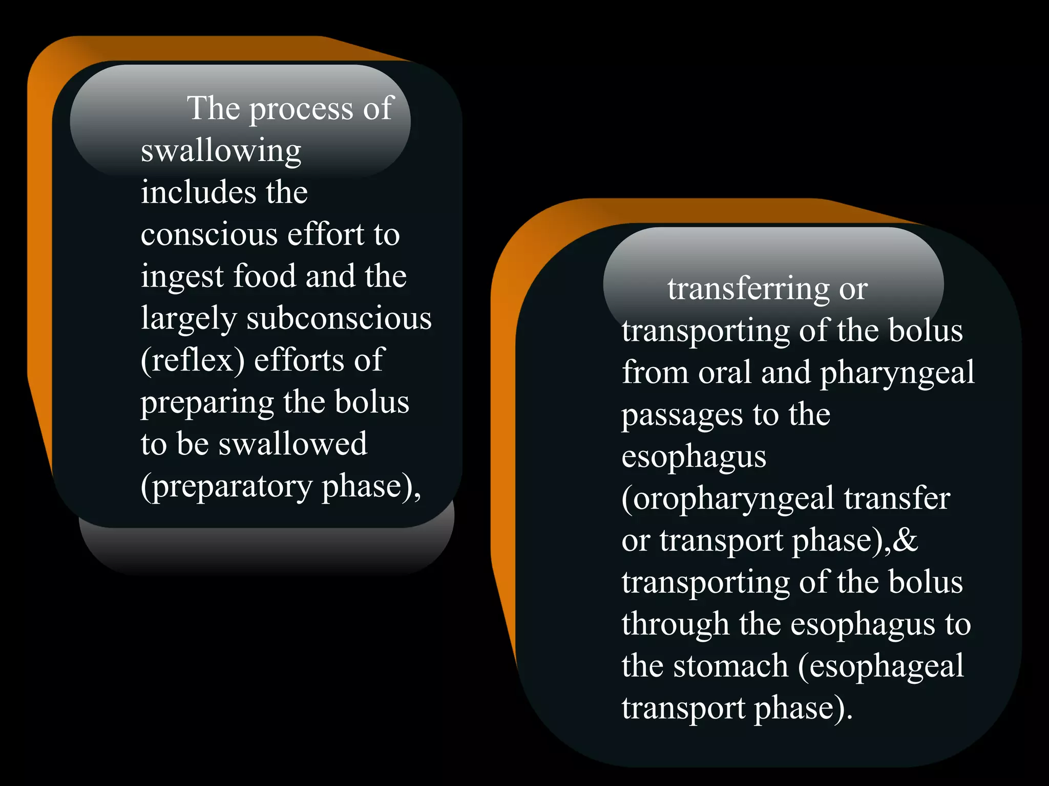 Anatomy and Neurophysiology of Swallowing | PDF