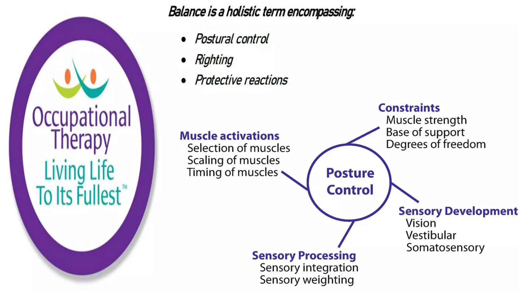 Neurophysiology part 7 Balance and Movement | PPT