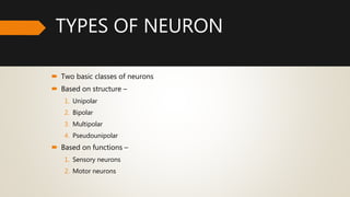 Neurophysiology | PPTX