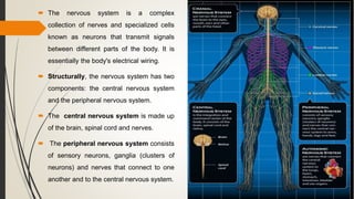 Neurophysiology | PPTX