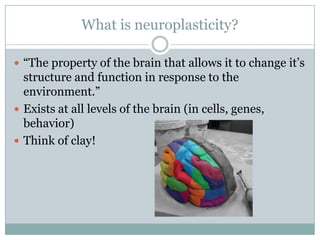 Neuroplasticity | PPTX