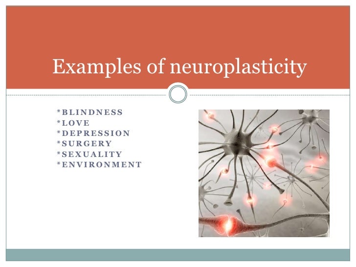 Neuroplasticity