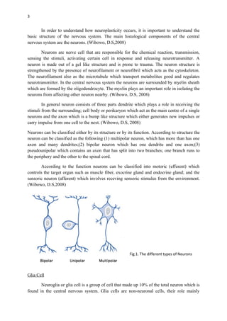 Neuroplasticity | DOC