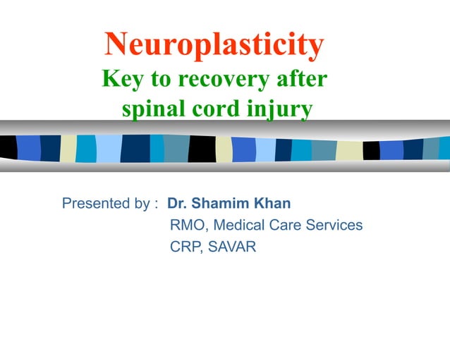 Neuroplasticity | PPT