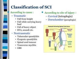Neuroplasticity | PPT
