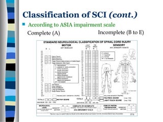 Neuroplasticity | PPT