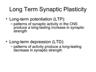 Neuroplasticity | PPT
