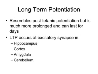 Neuroplasticity | PPT