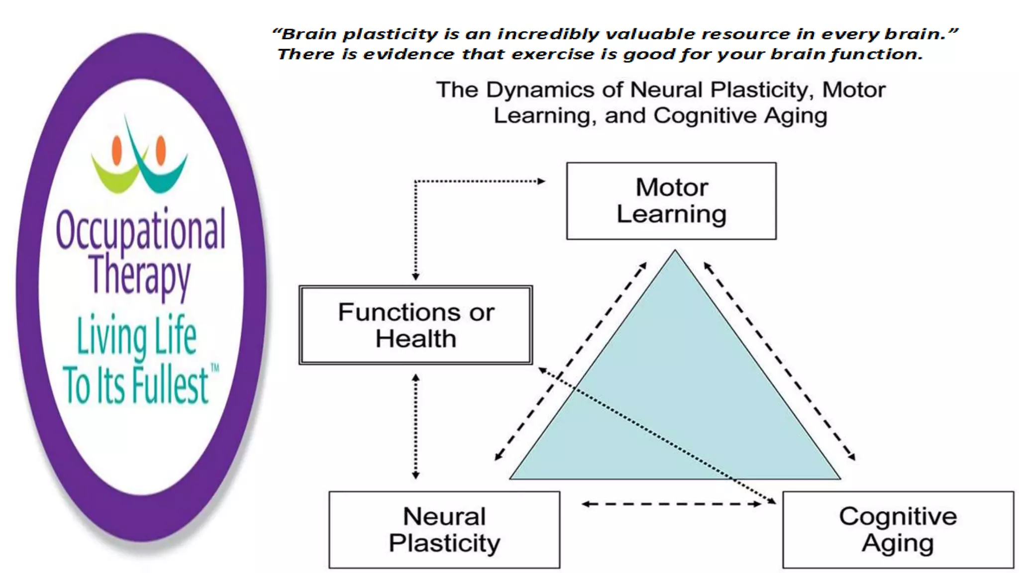 Neuroplasticity through Exercise and Brain Fitness | PPTX