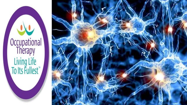 Neuroplasticity through Exercise and Brain Fitness | PPTX