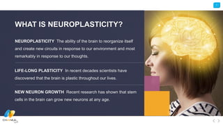 Neuroplasticity Introduction | PDF