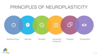 Neuroplasticity Introduction | PDF