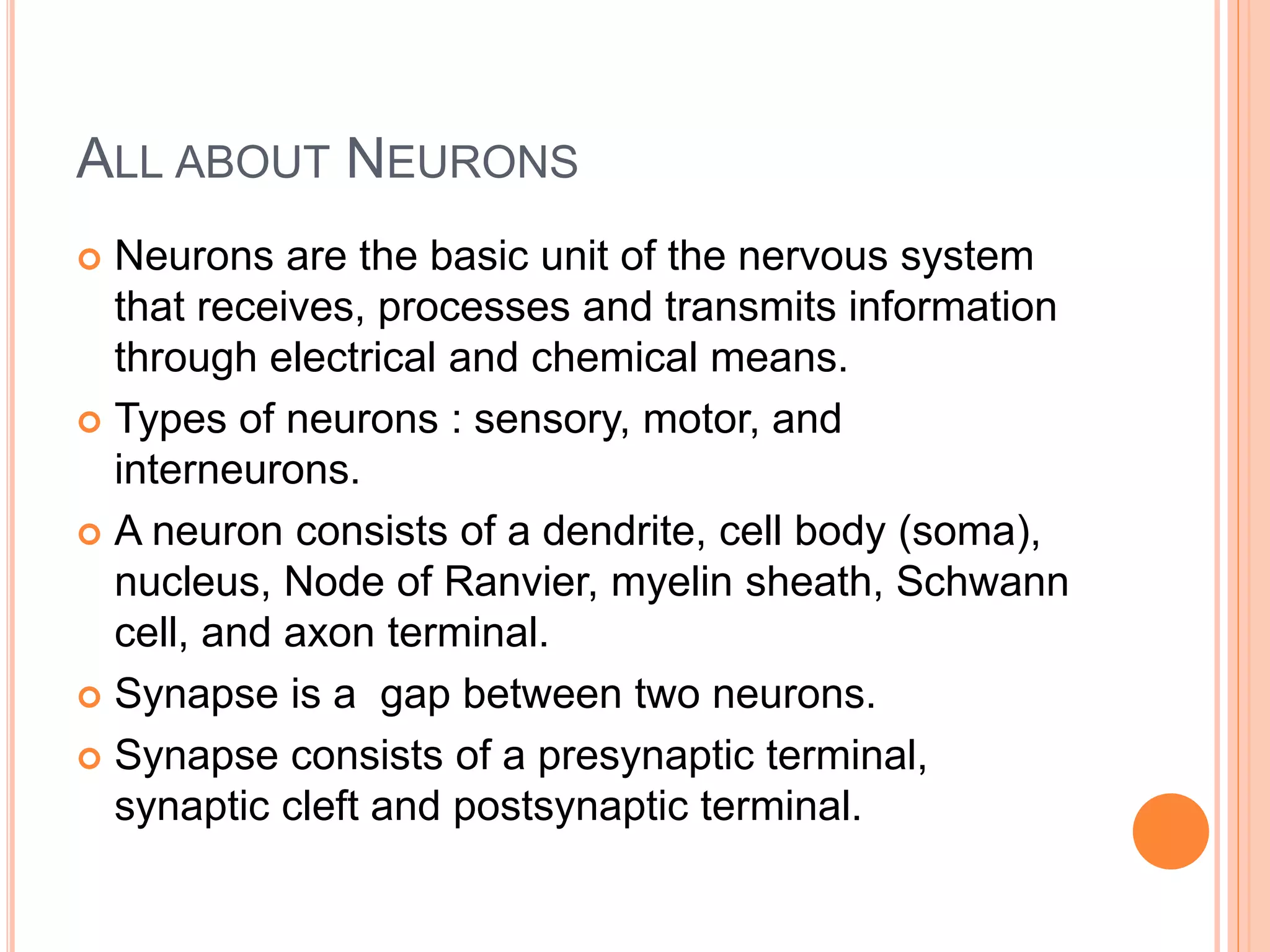 Neuroplasticity | PPTX