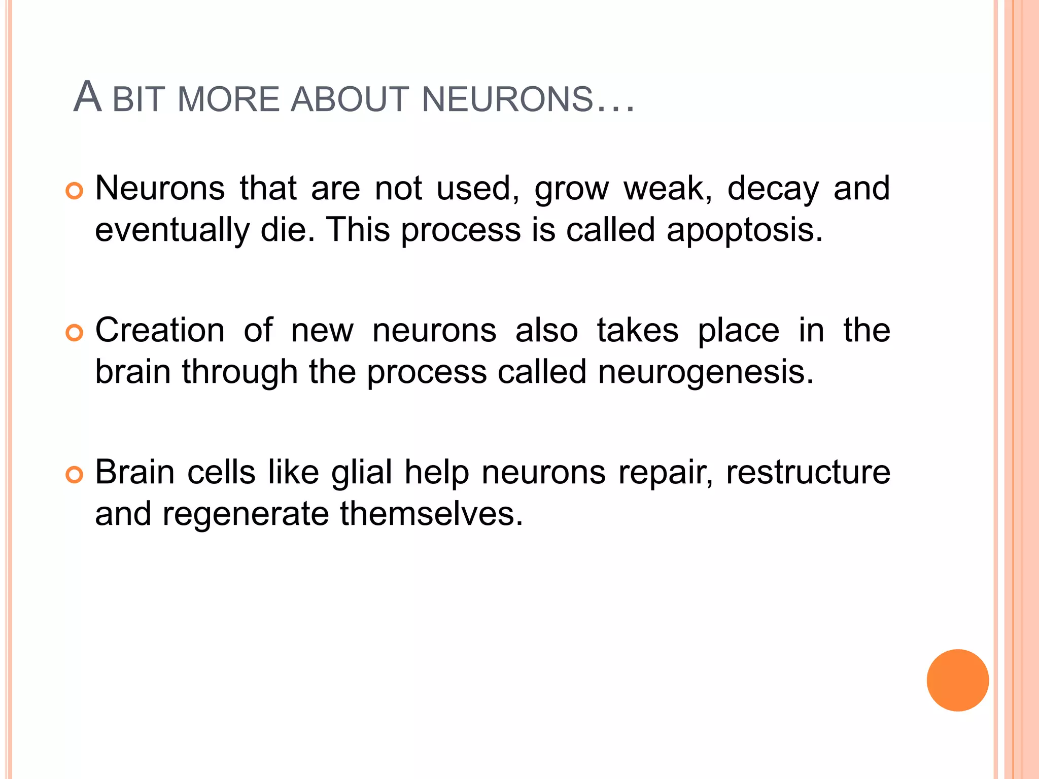 Neuroplasticity | PPTX