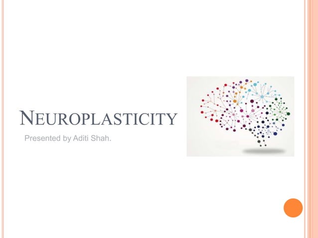 Neuroplasticity | PPTX | Brain and Nervous System Disorders | Diseases ...